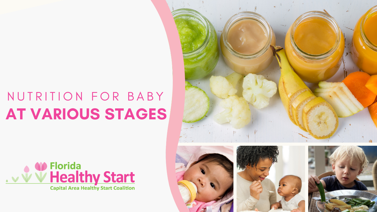 Nutrition for Baby at Various Stages – Capital Area Healthy Start Coalition
