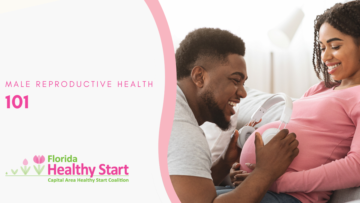 Male Reproductive Health 101 – Capital Area Healthy Start Coalition