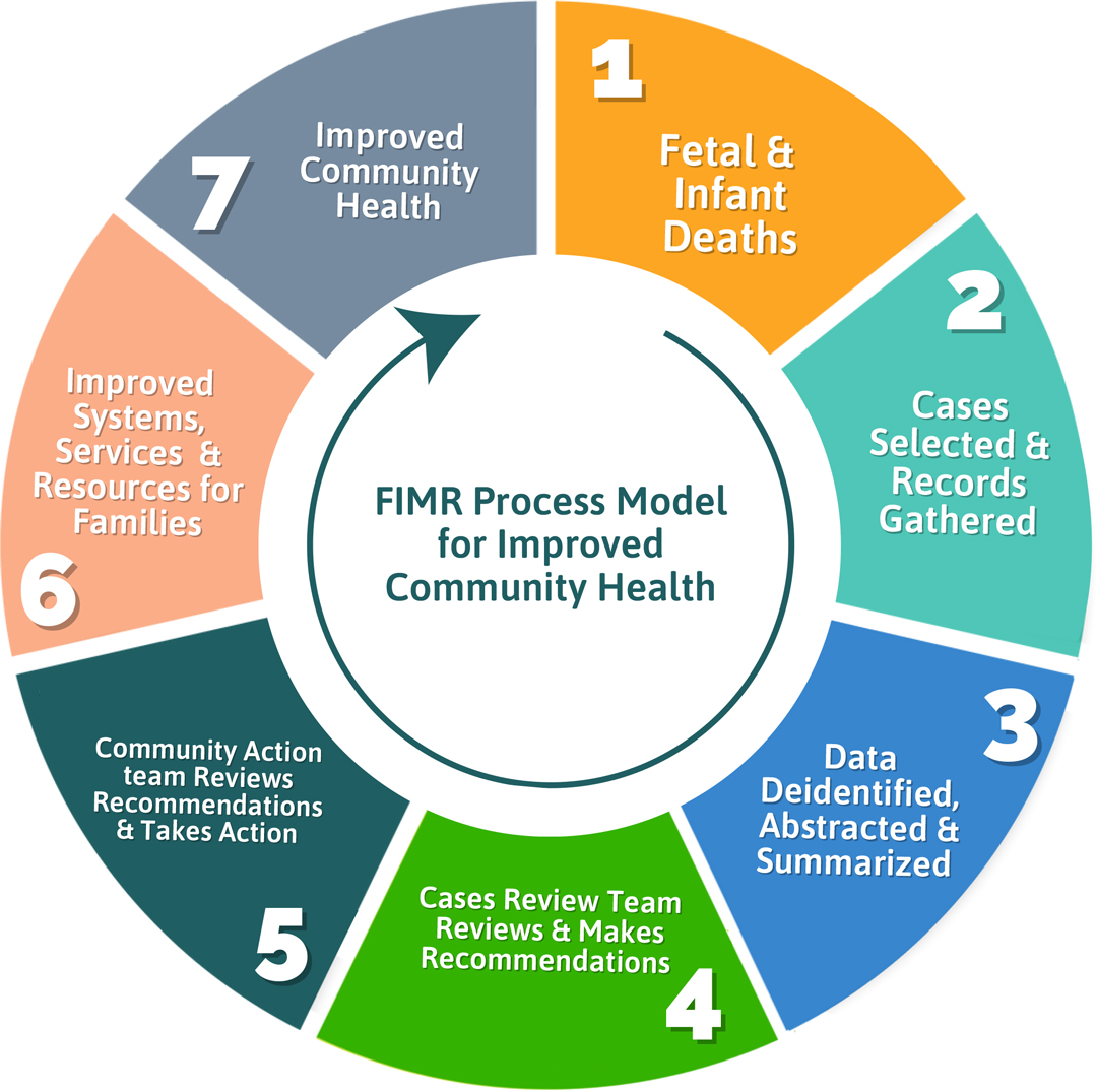 FIMR – Capital Area Healthy Start Coalition